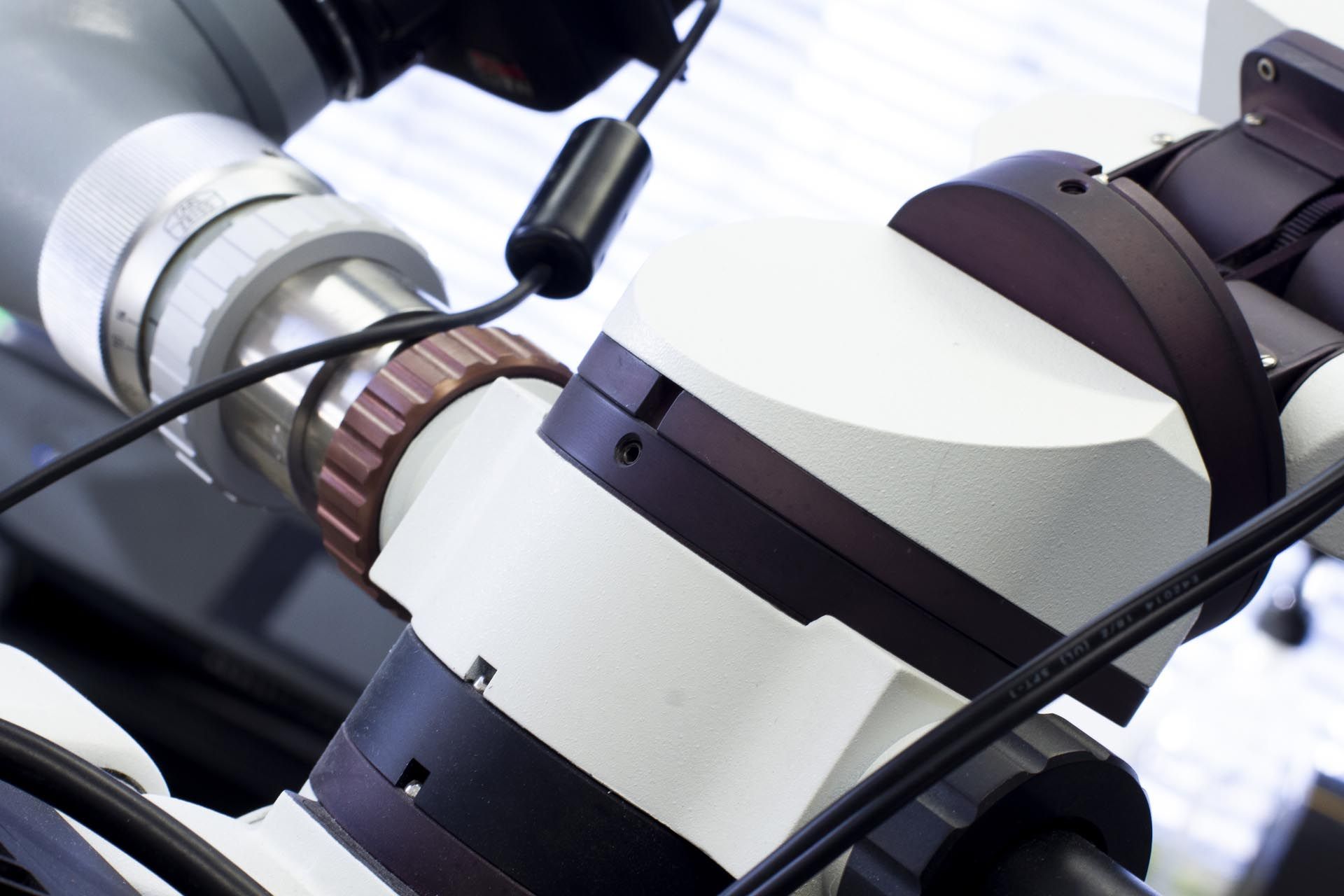 Home - EndoExperience